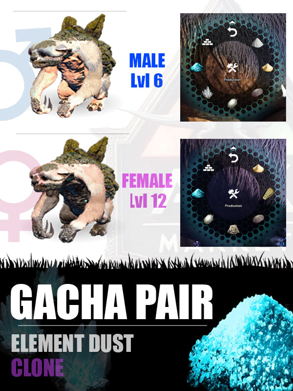 Gacha Pair Various Resources The Ark Market